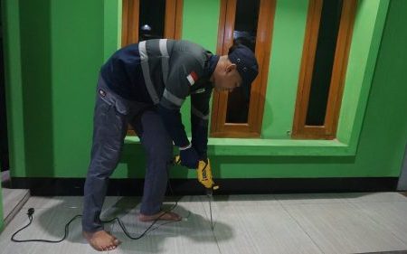 Service - Next Pest Control